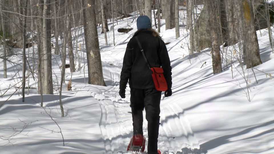 NH Chronicle: The Hubbard Brook Experimental Forest