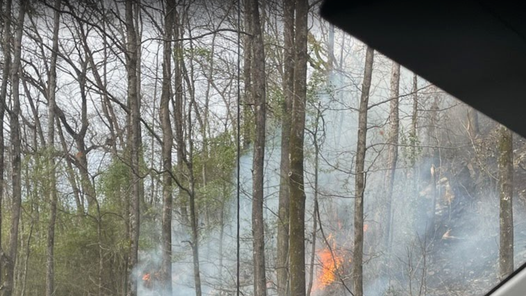 GALLERY: Alabama firefighters battle multiple major brush fires