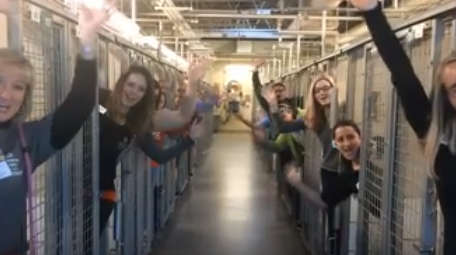 Colorado area Humane Society celebrates empty kennels during adoption event