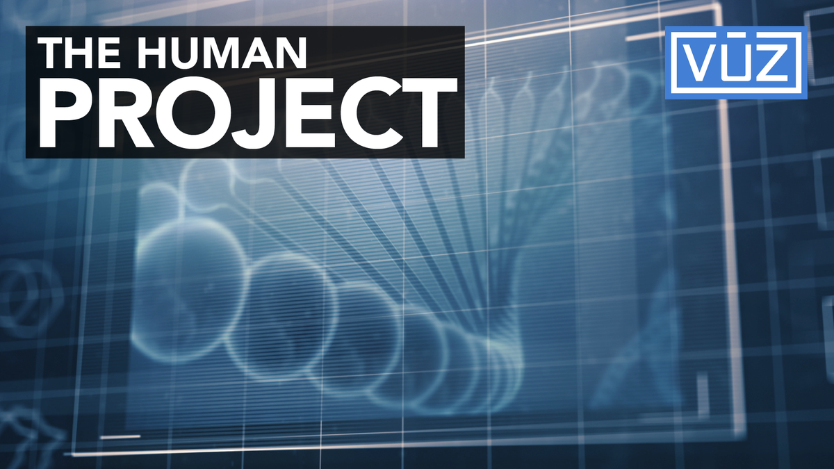 Human Project wants to collect data on 10,000 New Yorkers for 20 years
