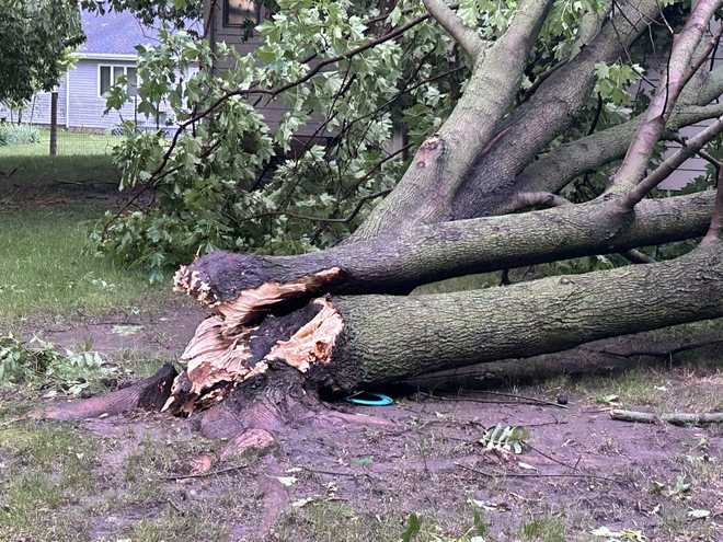 Iowa weather: Photos of storm damage in Eldora