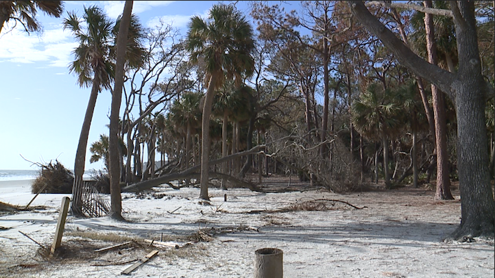 WJCL's private tour through Hunting Island State Park