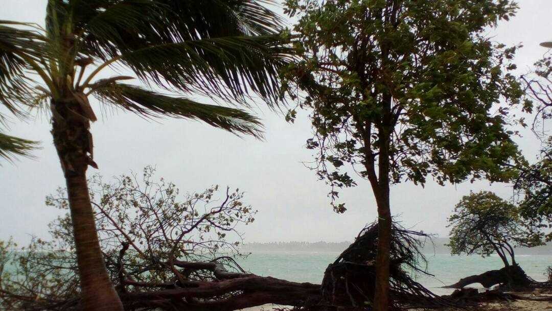 Swells from Maria expected to reach coast of southeastern US on Friday