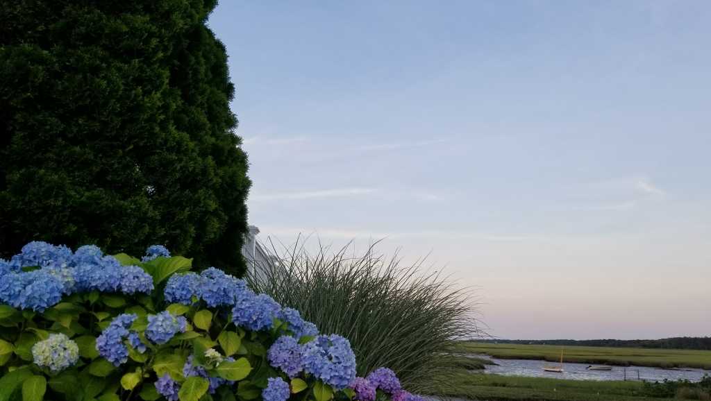 5 fun things to do Wednesday, July 6 in Massachusetts