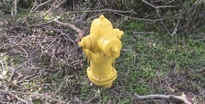 Storm debris must be removed from fire hydrants, officials say