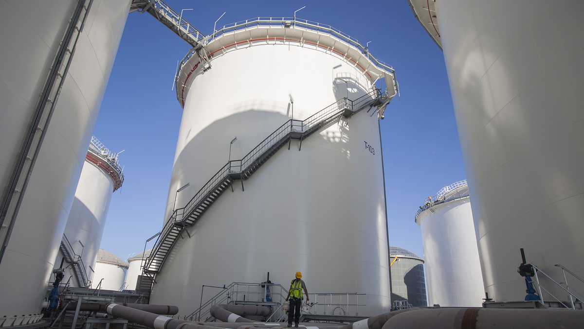 World's top oil trader will stop buying Russian crude