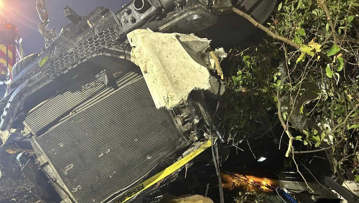 South Carolina I-85 crash photos show extent of scene