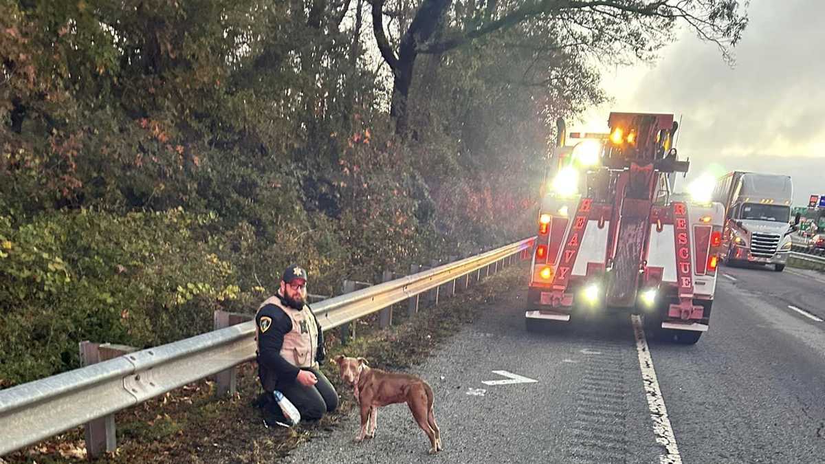 South Carolina I-85 crash photos show extent of scene
