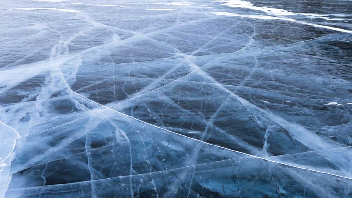 Officer falls through ice rescuing resident's dog in Essex County