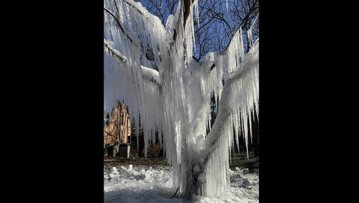 Man creates ice tree in Mauldin