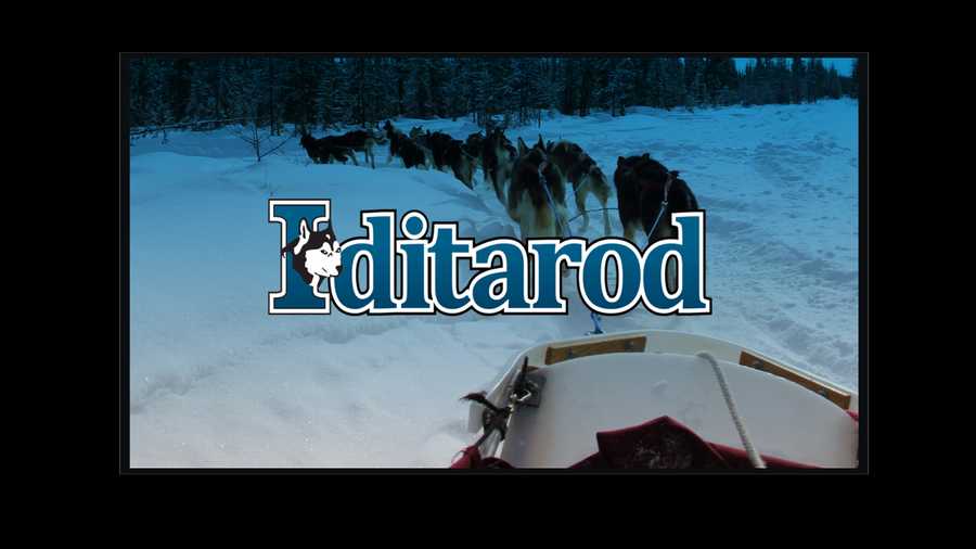 Alabama native in field of 33 Iditarod sled dog race mushers