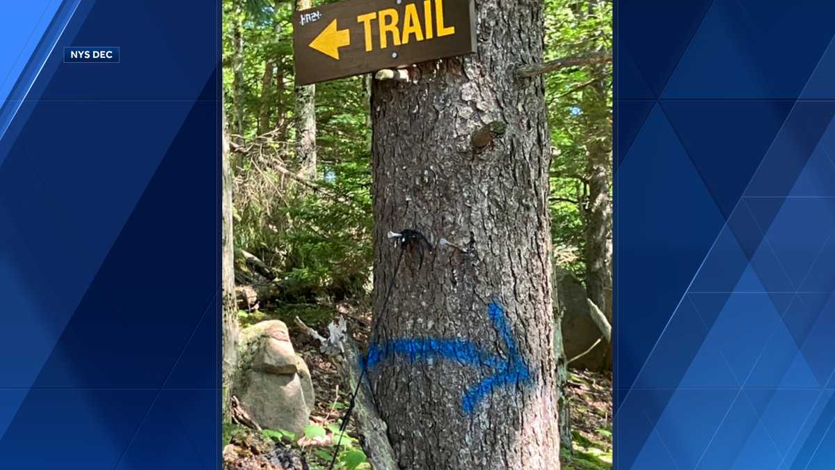 Three hikers rescued after following fake trail marker in New York