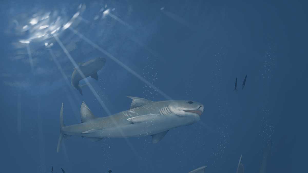 Two new species of shark discovered at Kentucky's Mammoth Cave National ...