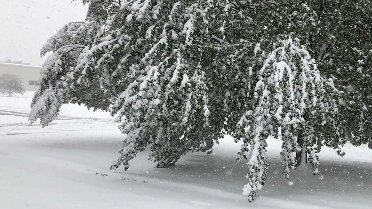 Photos: First snow of the season