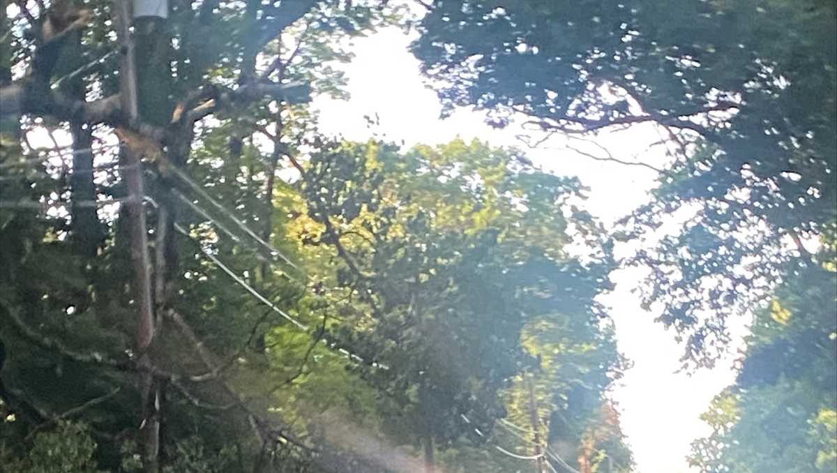 Strong storms rolled through Maine Tuesday, causing damage