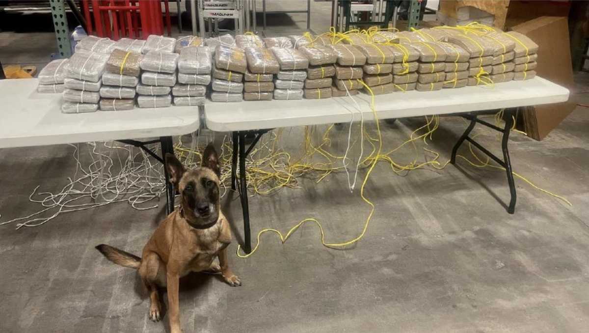 Semitruck driver arrested in Indiana after hauling 130 kilograms of cocaine