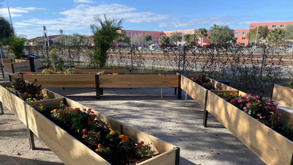 FAMU opens new teaching community garden in South Florida