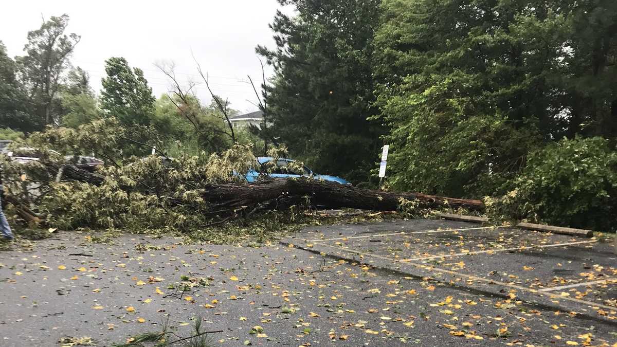 PHOTOS: Tropical Storm Isaias causes damage across Maryland