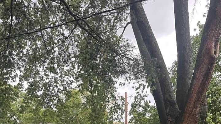 Storm cleanup: Cities coordinating curbside, drop-off debris efforts