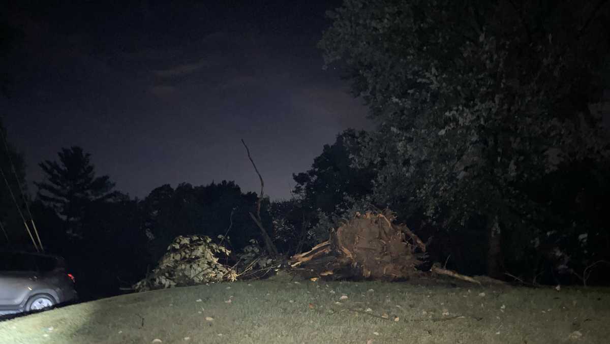 NWS: Microburst takes down trees during storms in northern Kentucky