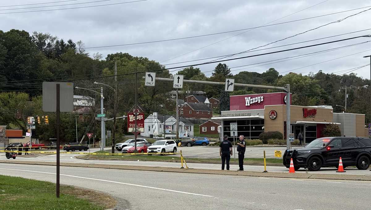 Man killed after shots fired outside Wendy's in White Oak