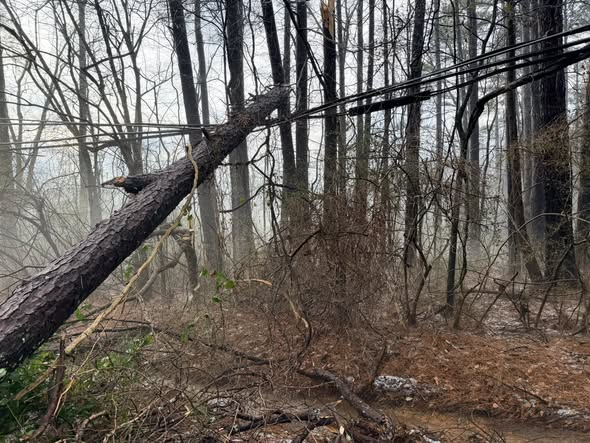 Tornado, large hail caught on camera amid strong storms that damaged ...