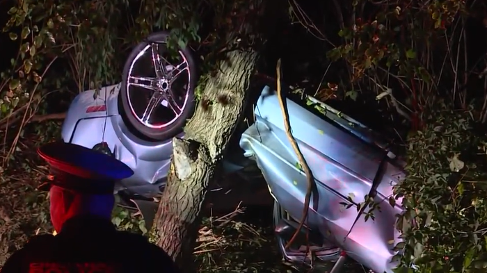 Police: One hospitalized after car crashes into tree line