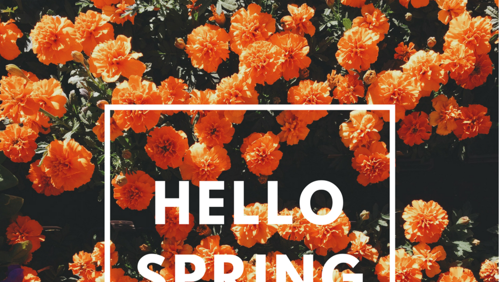 7 ways to celebrate first day of spring