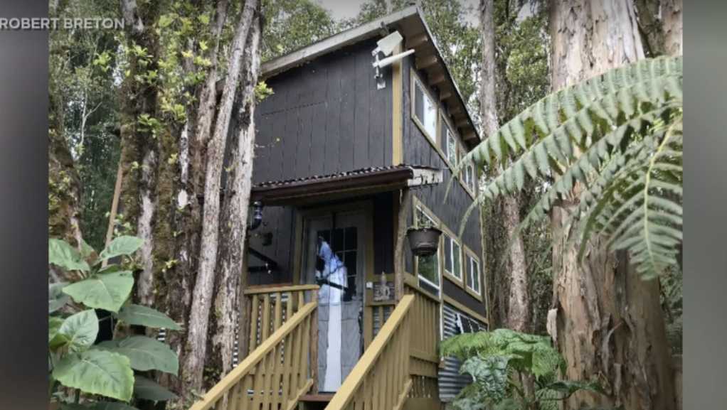 Hawaii man's treehouse paradise makes him an internet star