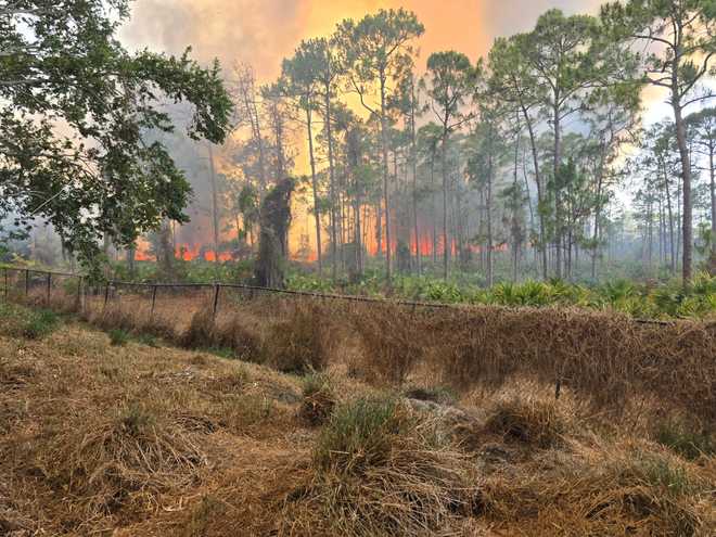 Crews battle brush fire off Old 41 Road near Mediterra in North Naples