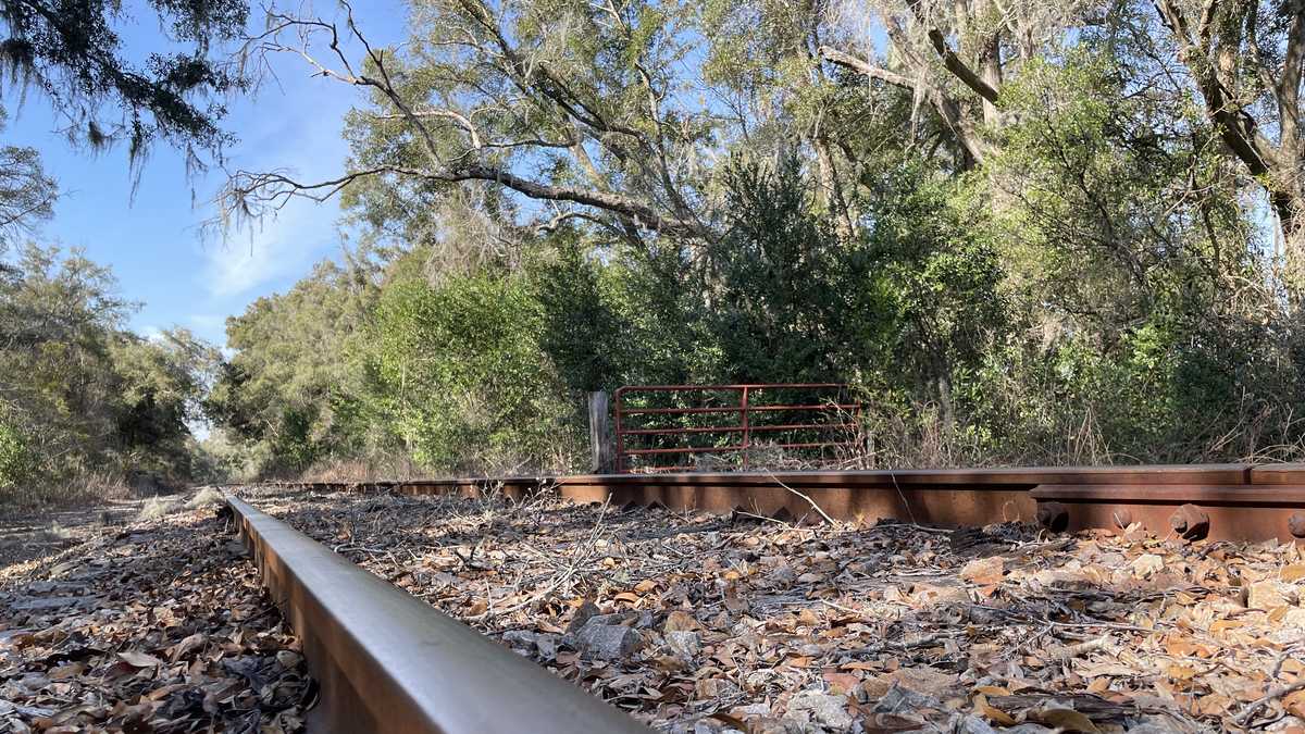 PHOTO GALLERY: Lizzie Robinson Jenkins shares her aunt's story of the ...