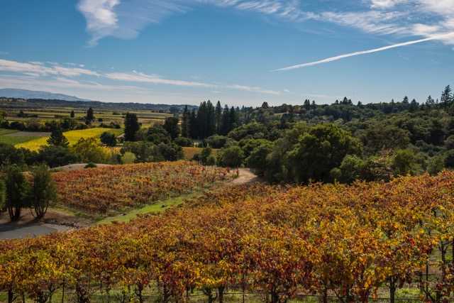 10 NorCal areas to visit for best fall foliage