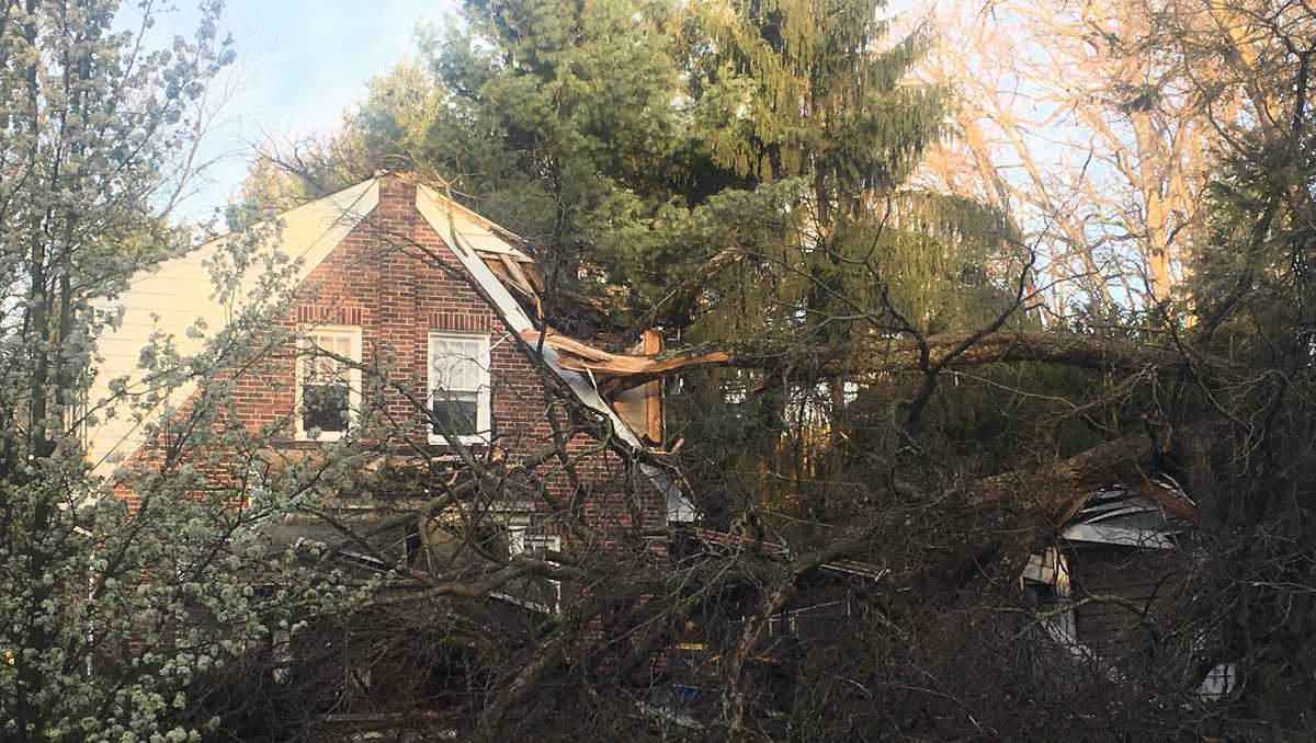 Residents hospitalized after tree falls on home