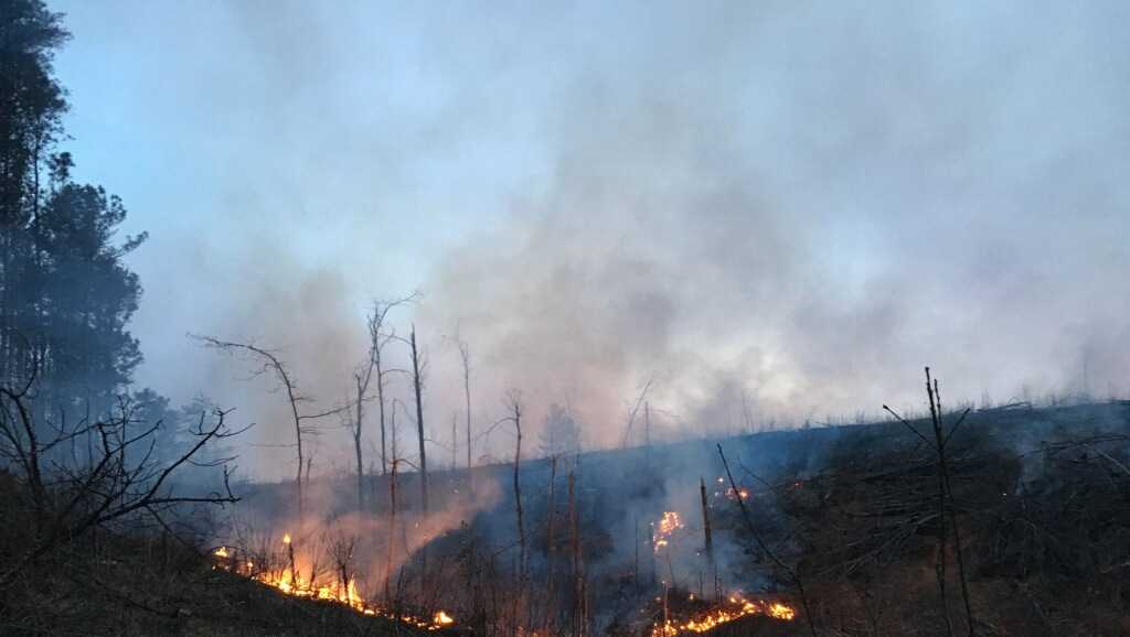 Wildfire in Adger near total containment