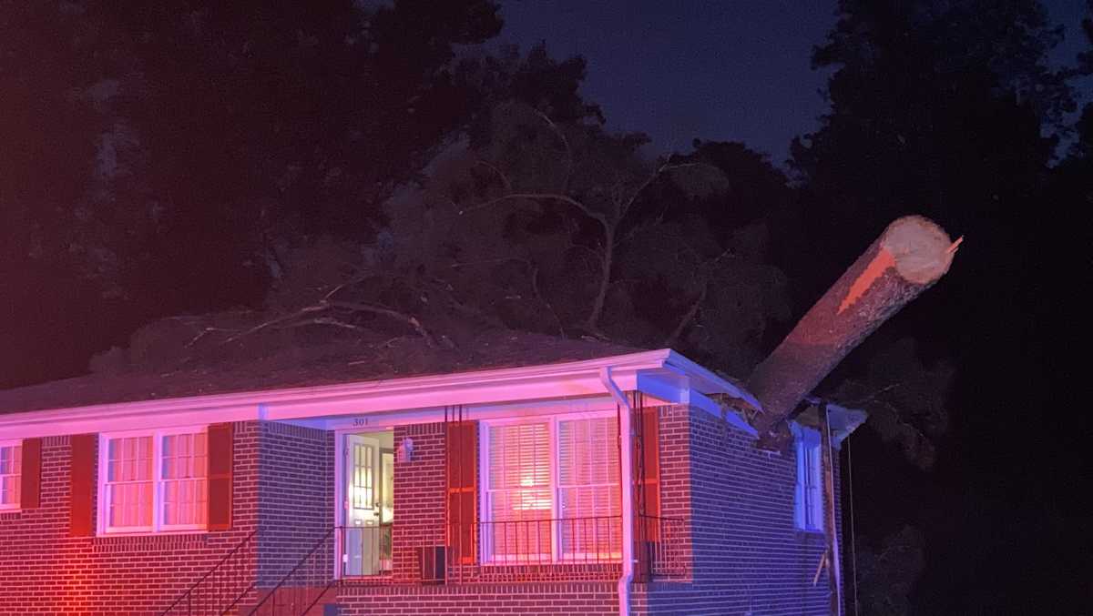 Large tree slices through home in Gardendale