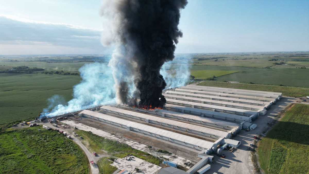 Fire continues overnight at chicken confinement in Taylor County