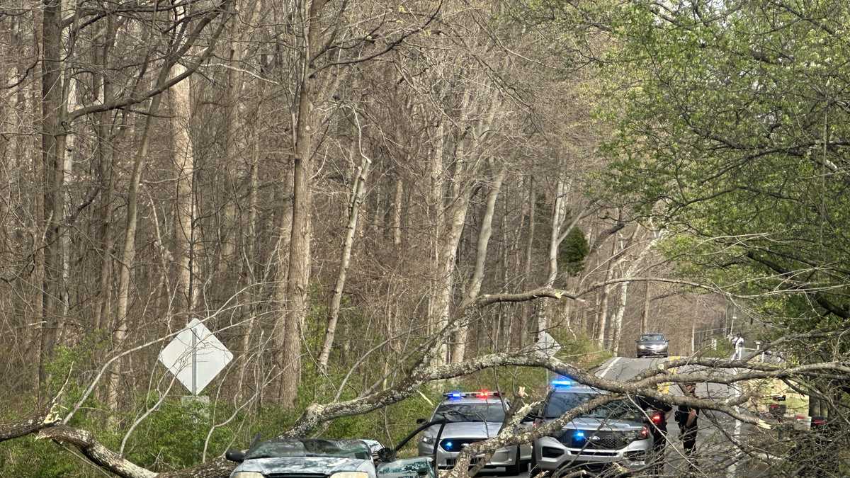 VIDEO | Tree falls down on car near Iroquois Park with driver inside