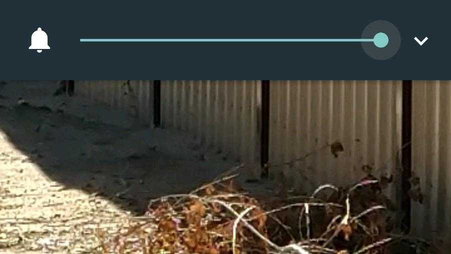 Predators roaming streets in northwest Albuquerque neighborhood