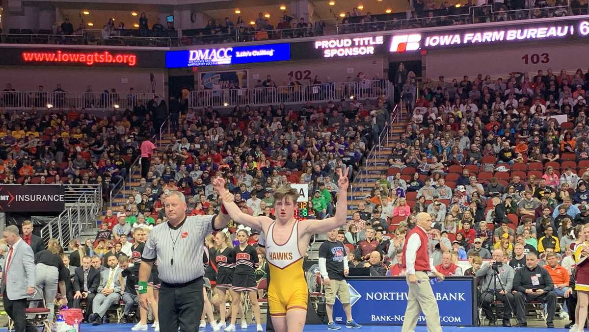 Champs! See who won titles at high school state wrestling