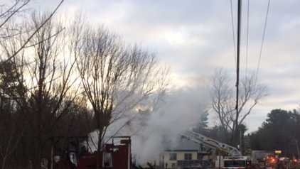 Several pets killed in early morning Denmark fire