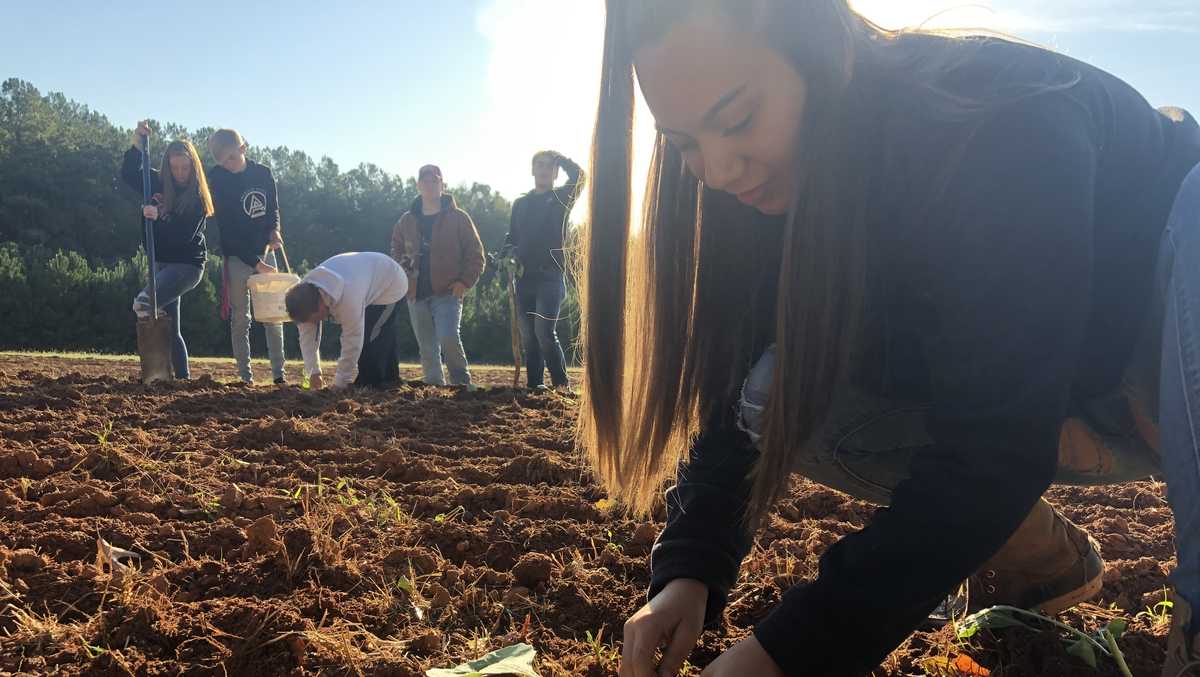 South Carolina high schoolers learn about horticulture while giving ...