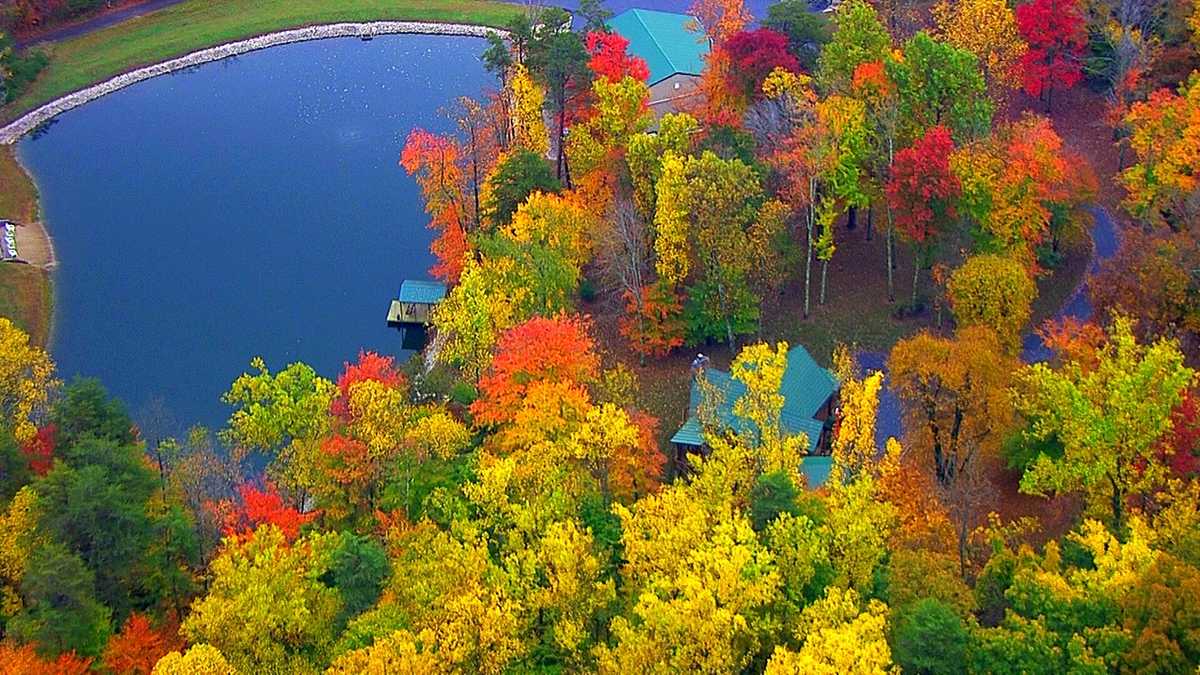 PHOTOS: Stunning fall foliage settles in across Kentuckiana