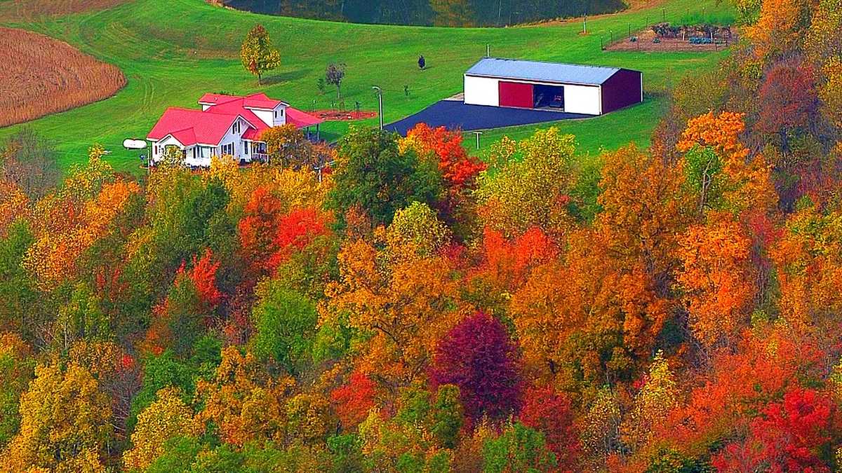 PHOTOS: Stunning fall foliage settles in across Kentuckiana