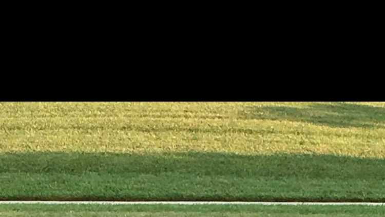 Car dealership offering $10,000 reward for return of Pontiac Firebird