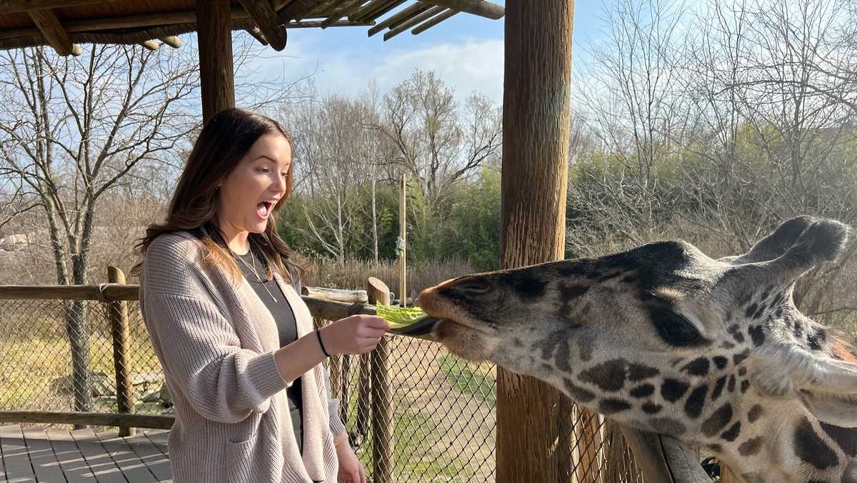 Cincinnati Zoo opens for spring season: Here are all the new ...