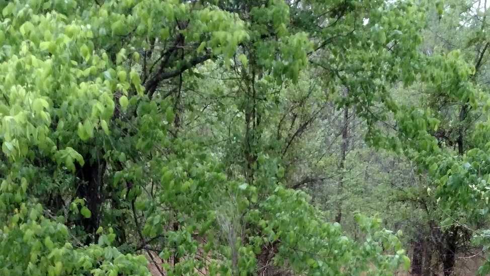 How to survive a flood: 6 things to do now