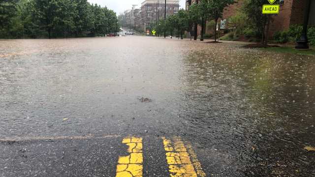 Pictures: Flooding, trees down across the area