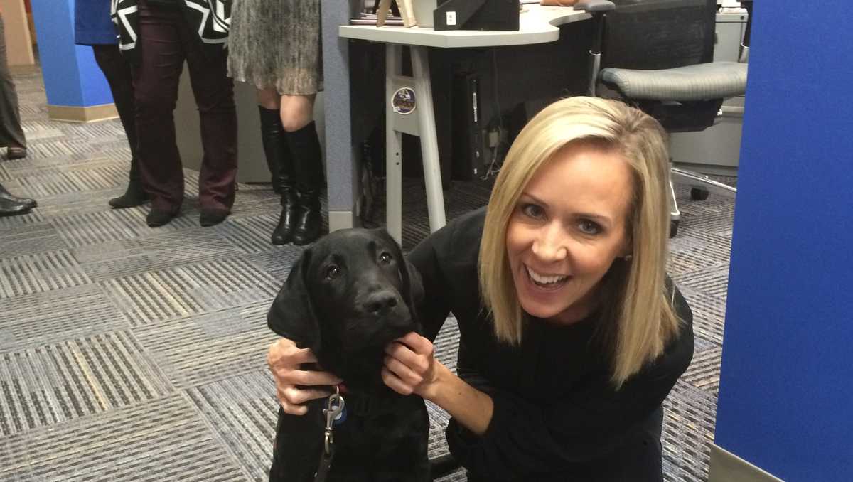 Photos: Future service dog Charlie visits 11 News