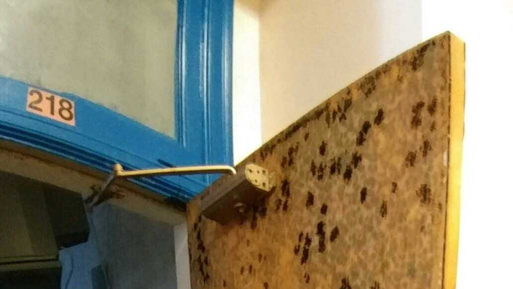 Action News Investigates: Moldy school room alarms Wilkinsburg ...