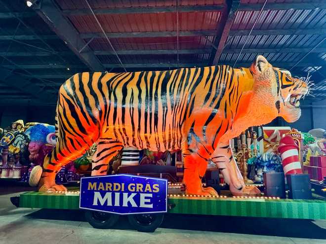 LSU baseball fans send team off to College World Series